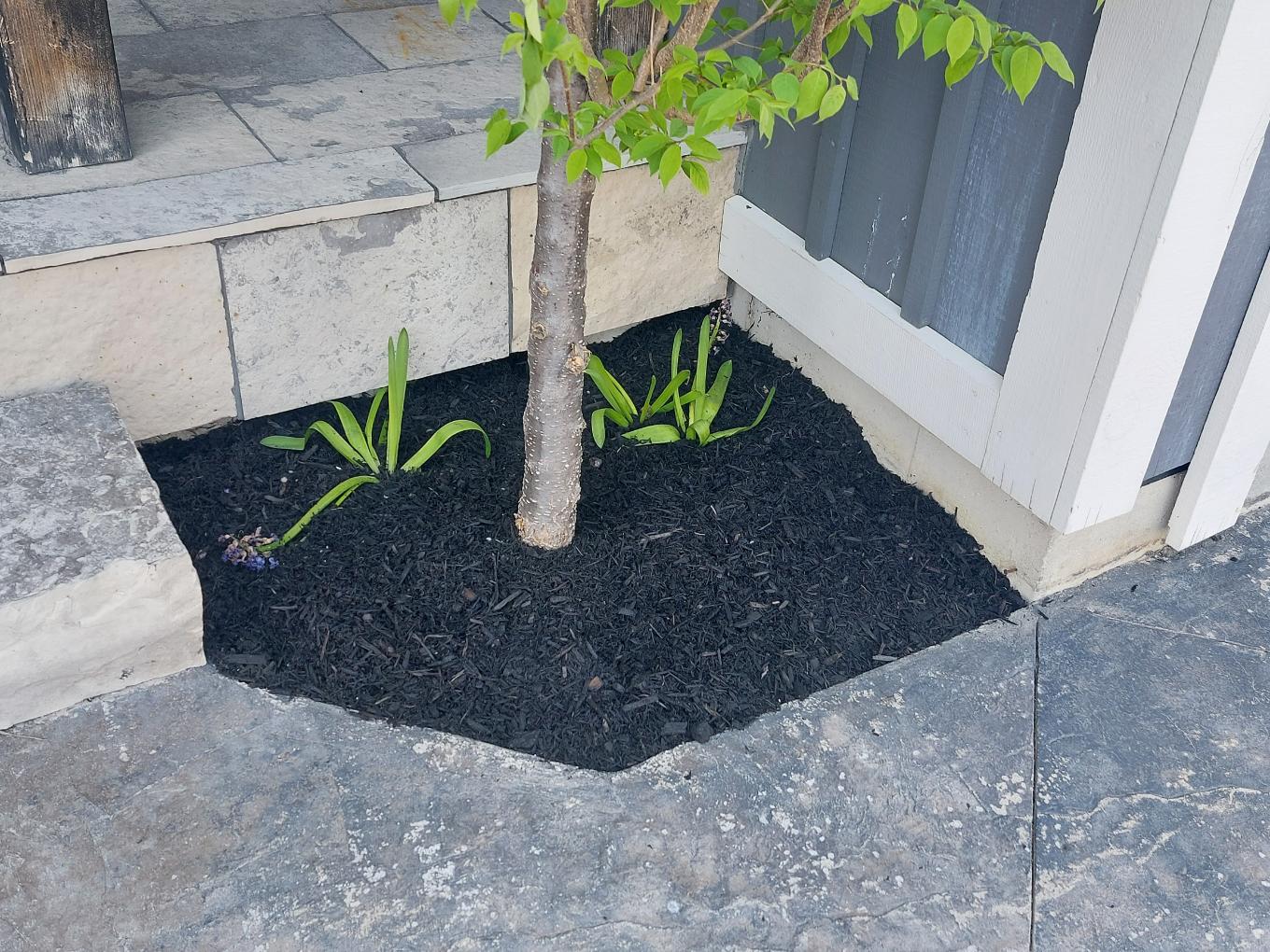 Exceptional Landscaping Services | The Snow Down Landscaping