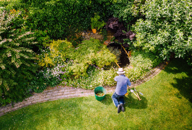 Specials | The Snow Down Landscaping