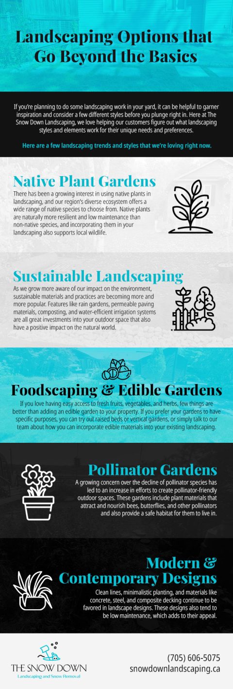 Landscaping Options that Go Beyond the Basics [infographic] | The Snow ...